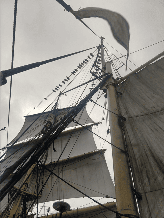 At Galapagos – The Barque Picton Castle